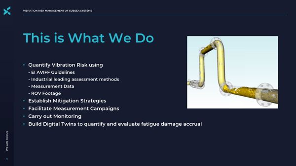 Vibration Risk Management of Subsea Systems