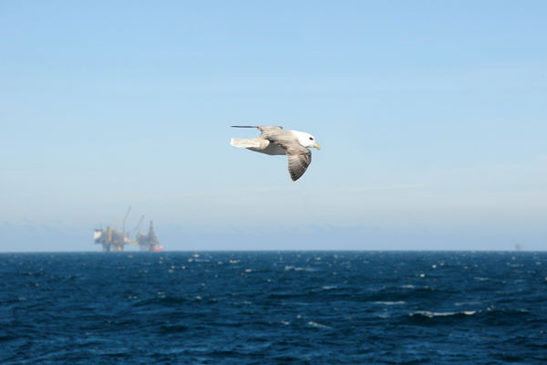Emissions | Our Services | We Are Xodus